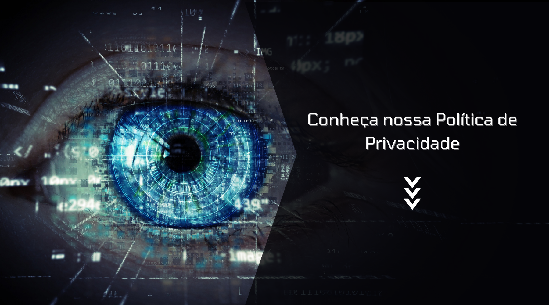 Politica Privacidade